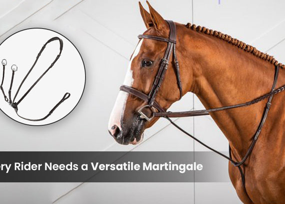 Martingales | The Complete Beginner's Guide to Martingales - the ashva ...